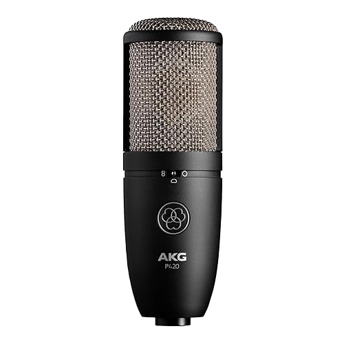 AKG Pro Audio Perception 420 Professional Microphone – Dealtargets.com